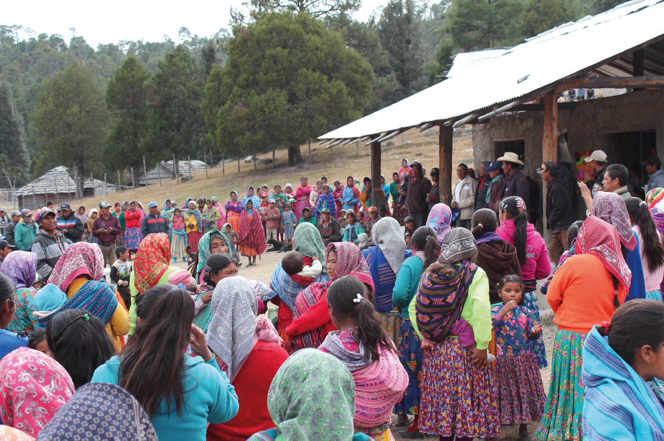 Después de 10 años, Sesión del Pleno de la Segunda Sala de la Suprema ...
